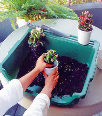 Table-Top Gardener® Portable Potting Tray – Argee® Corporation